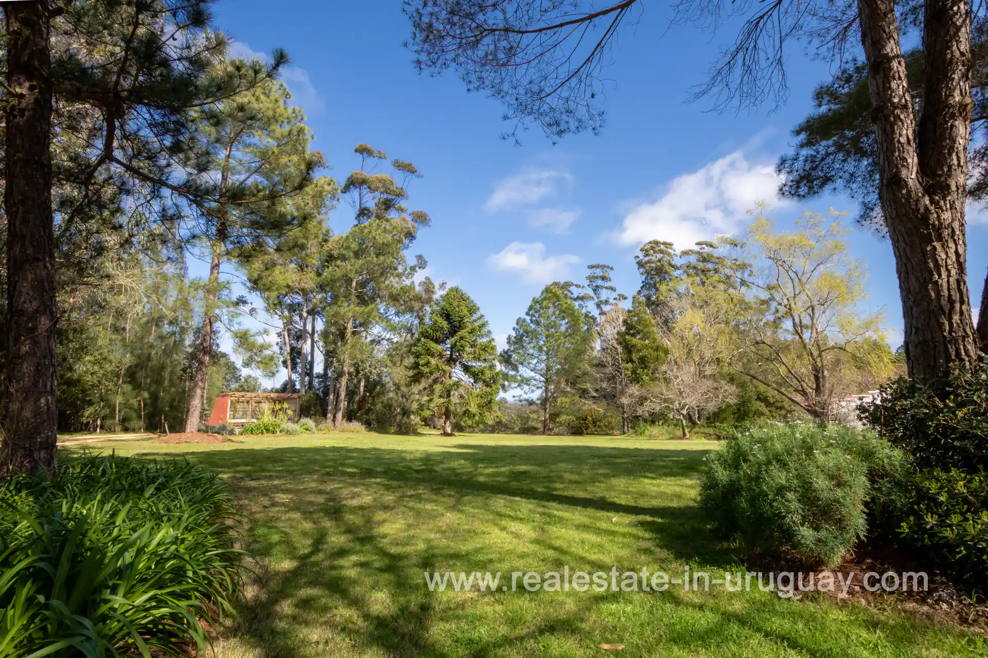 Large Ranch close to La Barra