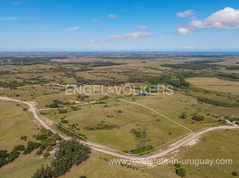 5 hectares land in Garzon - Real Estate in Uruguay