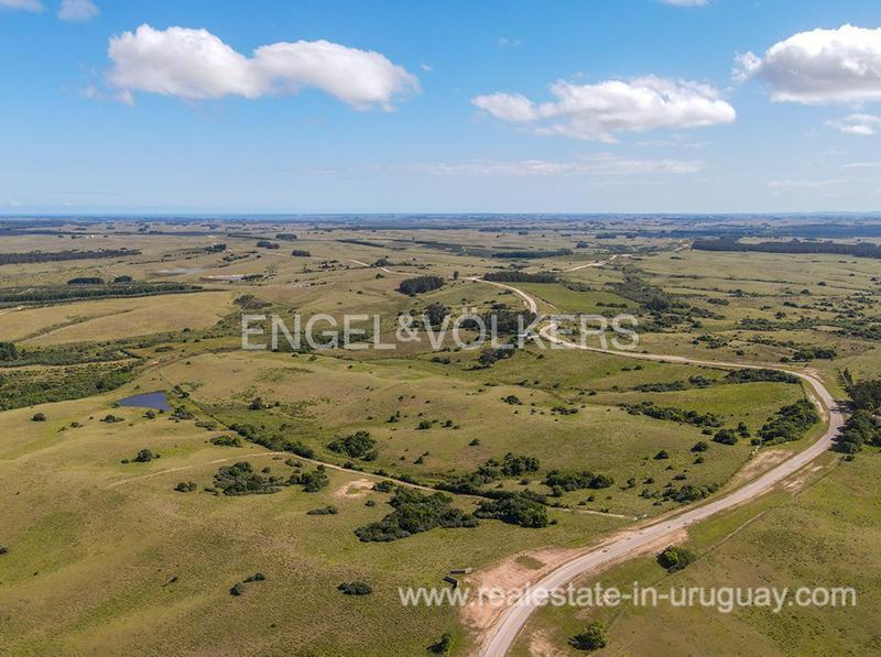 5 hectares land in Garzon - Real Estate in Uruguay