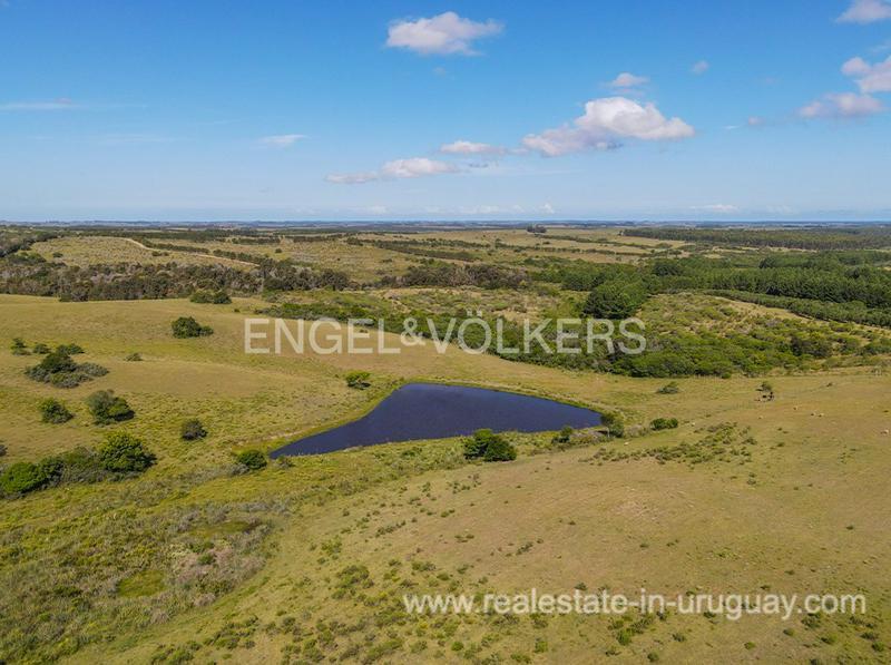 5 hectares land in Garzon - Real Estate in Uruguay