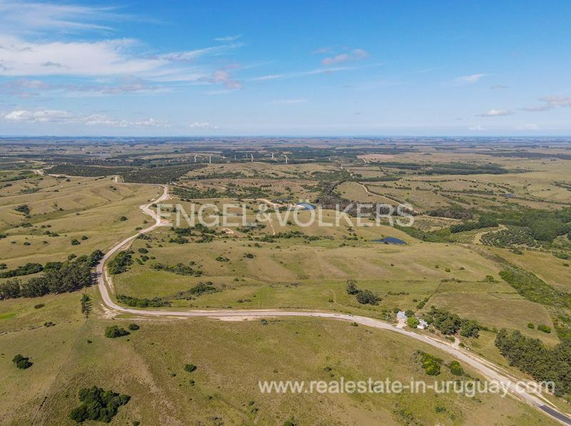 5 hectares land in Garzon - Real Estate in Uruguay