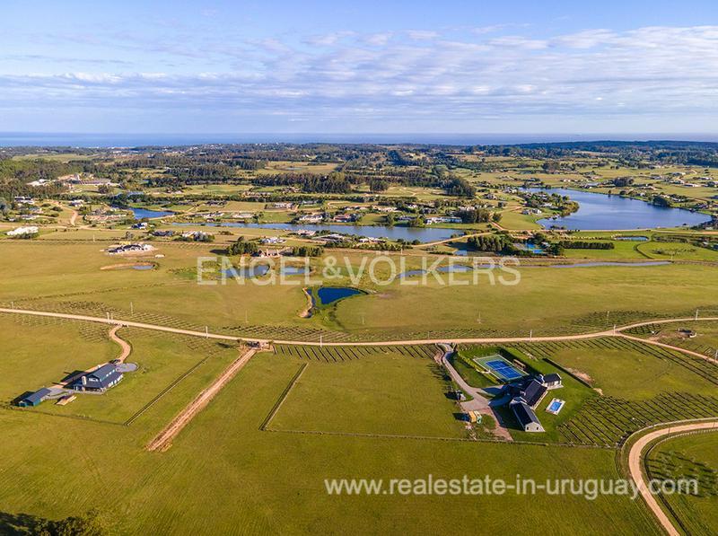 1 Hectare Lot in Plantacion Narbona - Real Estate in Uruguay