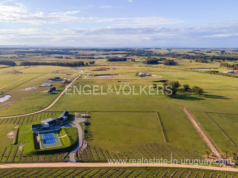 1 Hectare Lot in Plantacion Narbona - Real Estate in Uruguay