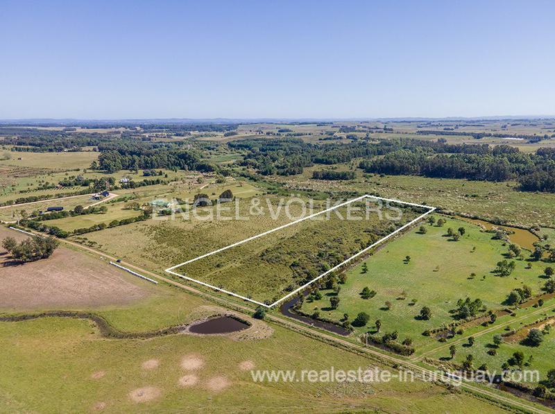 5-hectare farm by Ruta 104 - Real Estate in Uruguay
