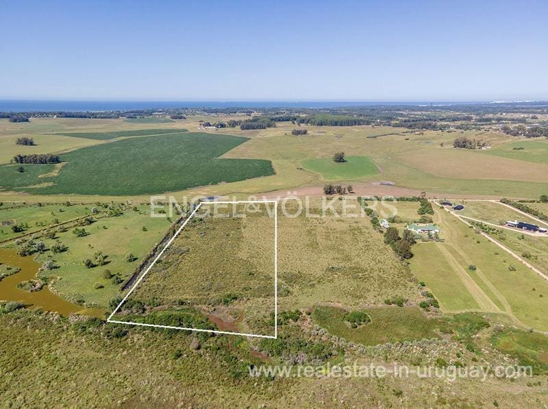 5-hectare farm by Ruta 104 - Real Estate in Uruguay