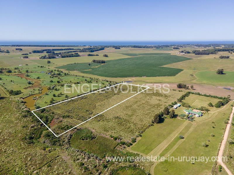5-hectare farm by Ruta 104 - Real Estate in Uruguay