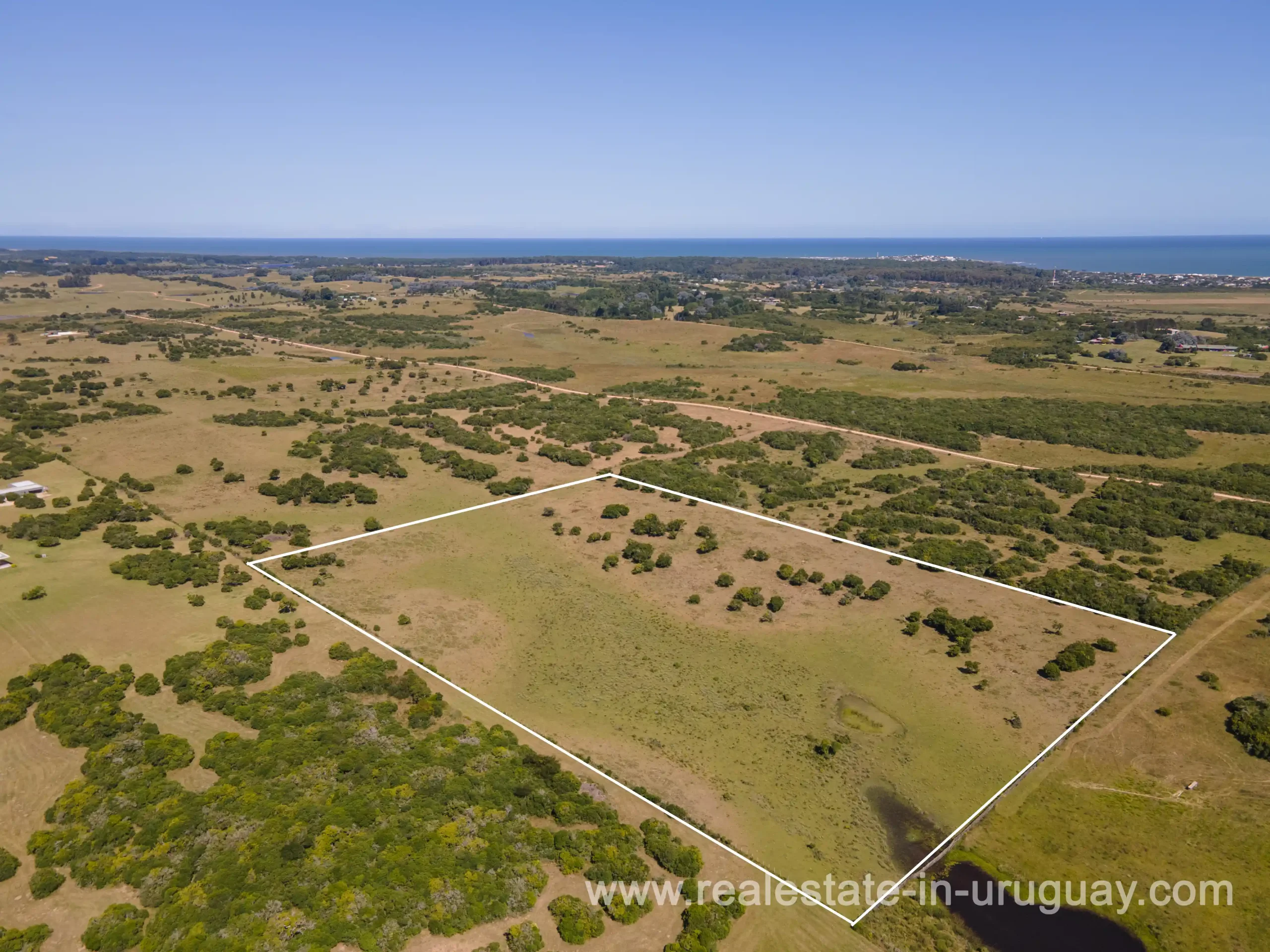 5-Hectare Land in the Medellin Faro Area - Real Estate in Uruguay
