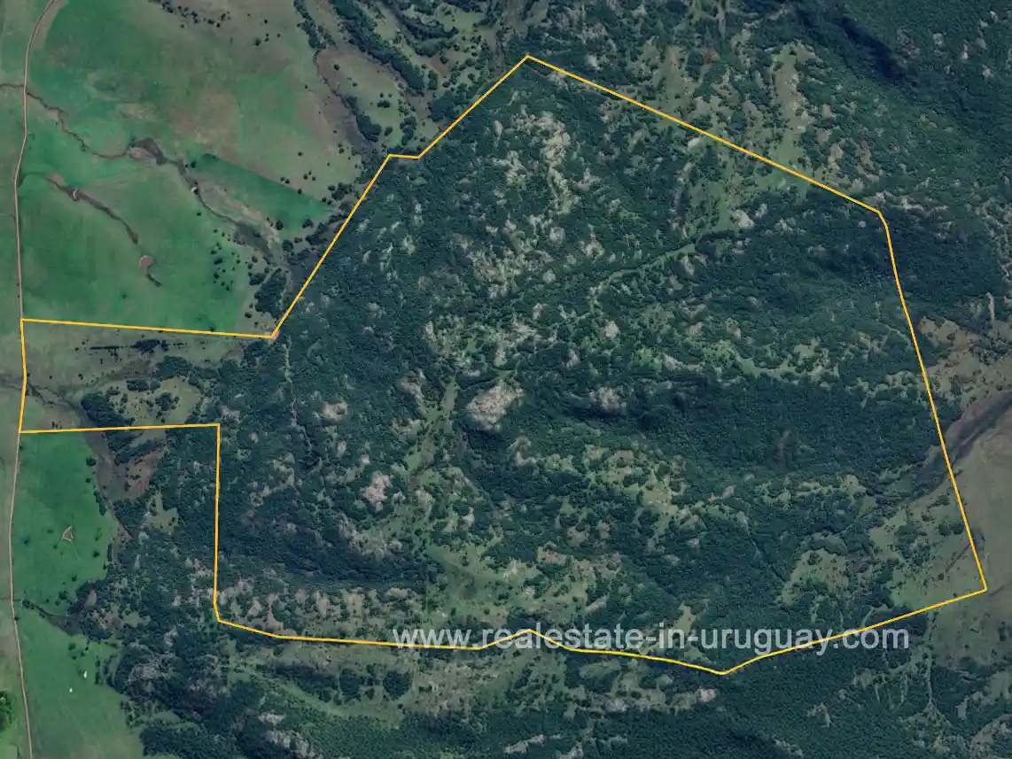 967-hectare Livestock Farm in Rocha - Real Estate in Uruguay