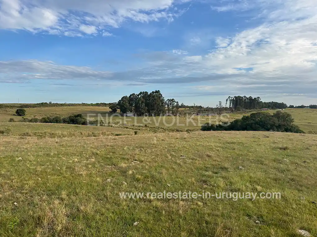 Land minutes from Garzón Village - Real Estate in Uruguay