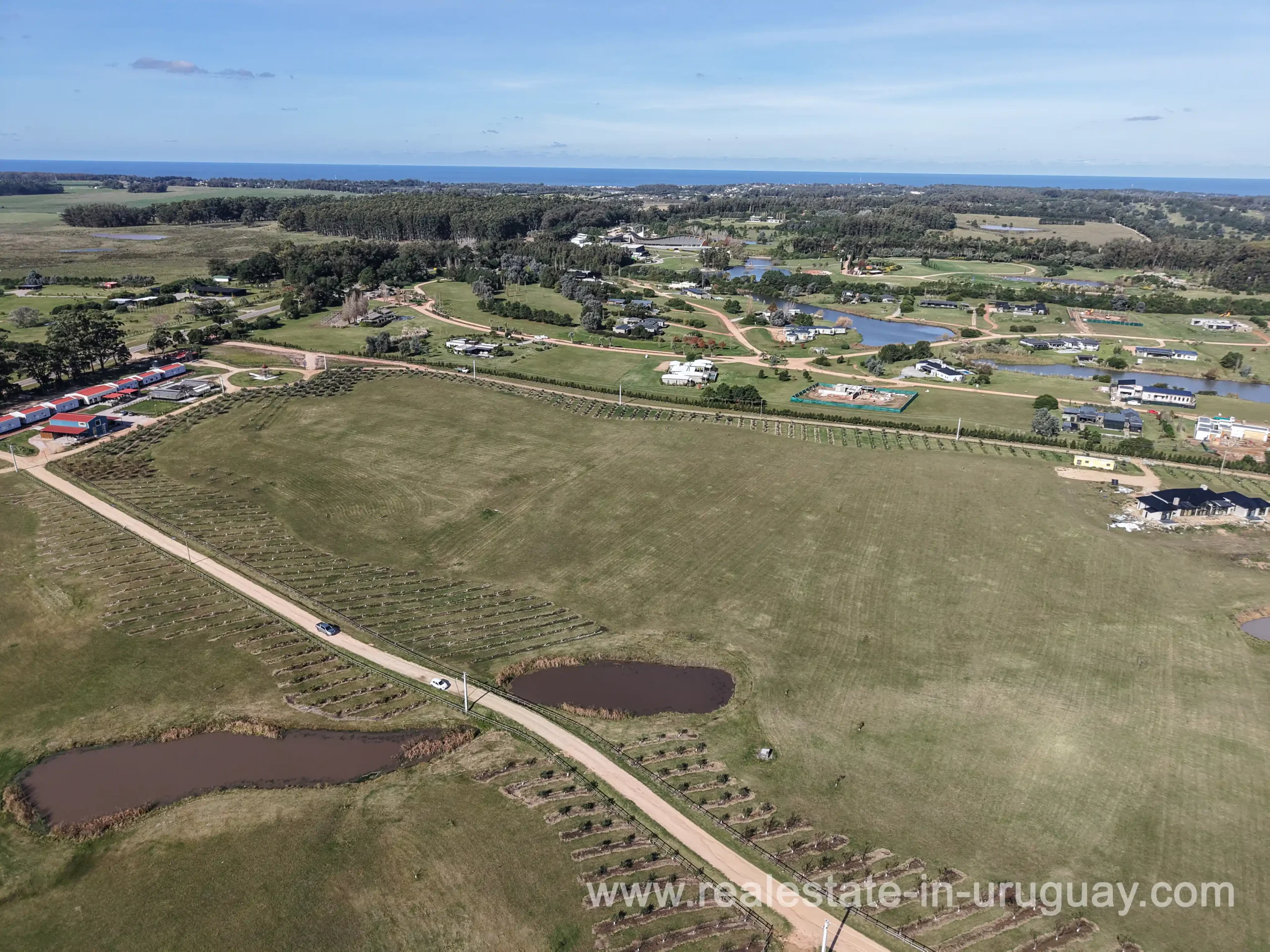 1.4-hectare farm in Plantacion Narbona - Real Estate in Uruguay