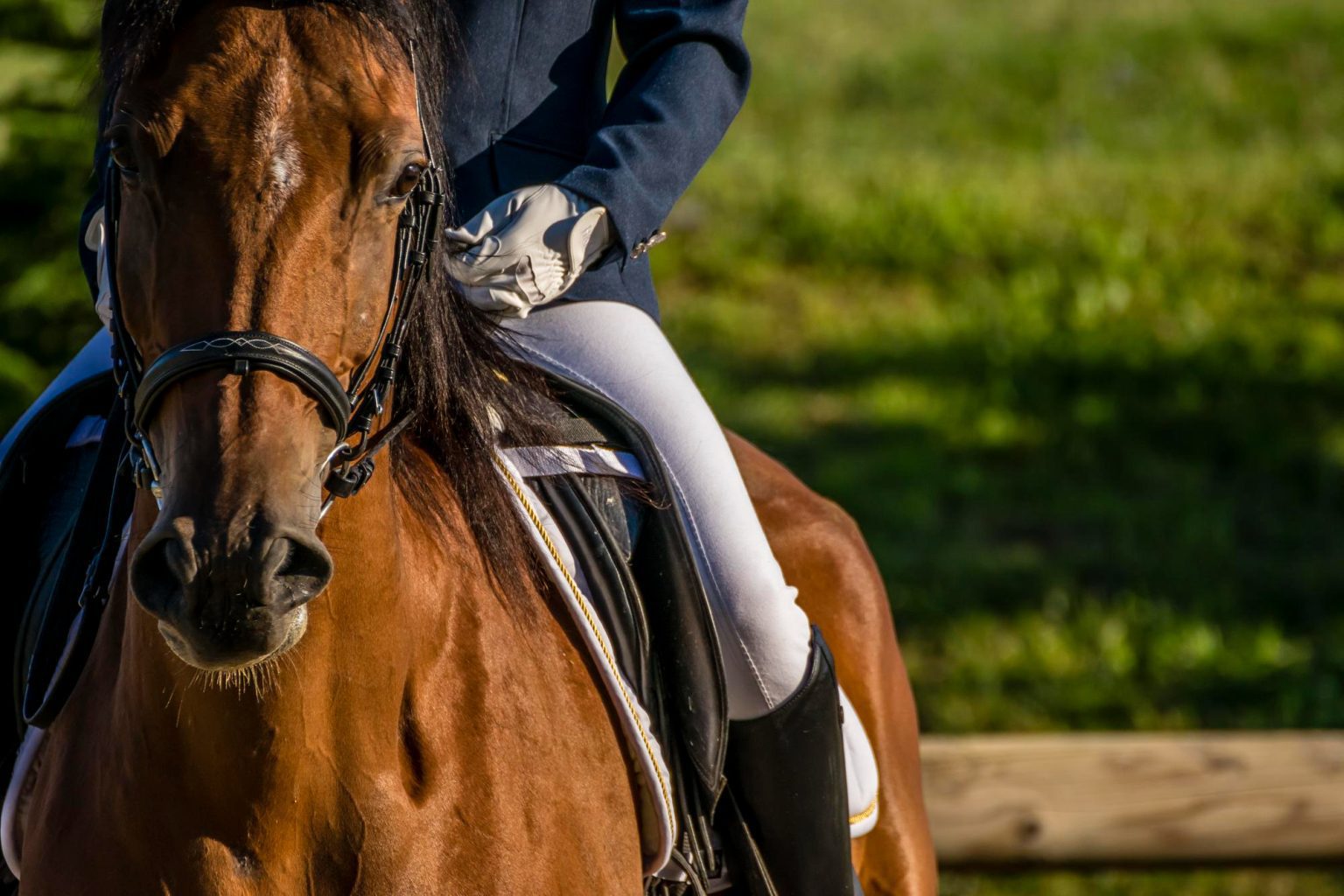Expat's Guide: Uruguay Equestrian Lifestyle & Real Estate